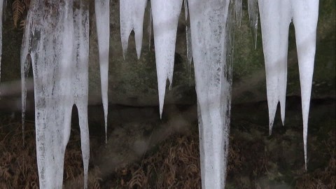 Tolosaldeko Ataria - Tolosaldeko Ataria.